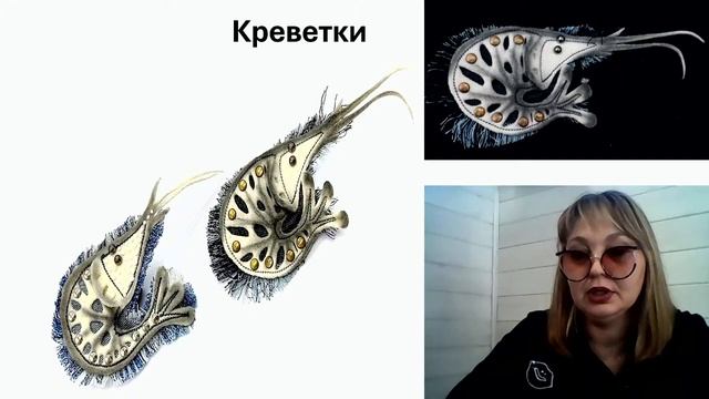 Ольга Изгородина Мини МК Брошь «Подари себе крылья»