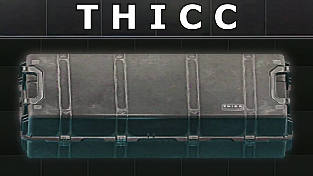 Выносим кейс для вещей THICC | Побег Из Таркова | Escape From Tarkov