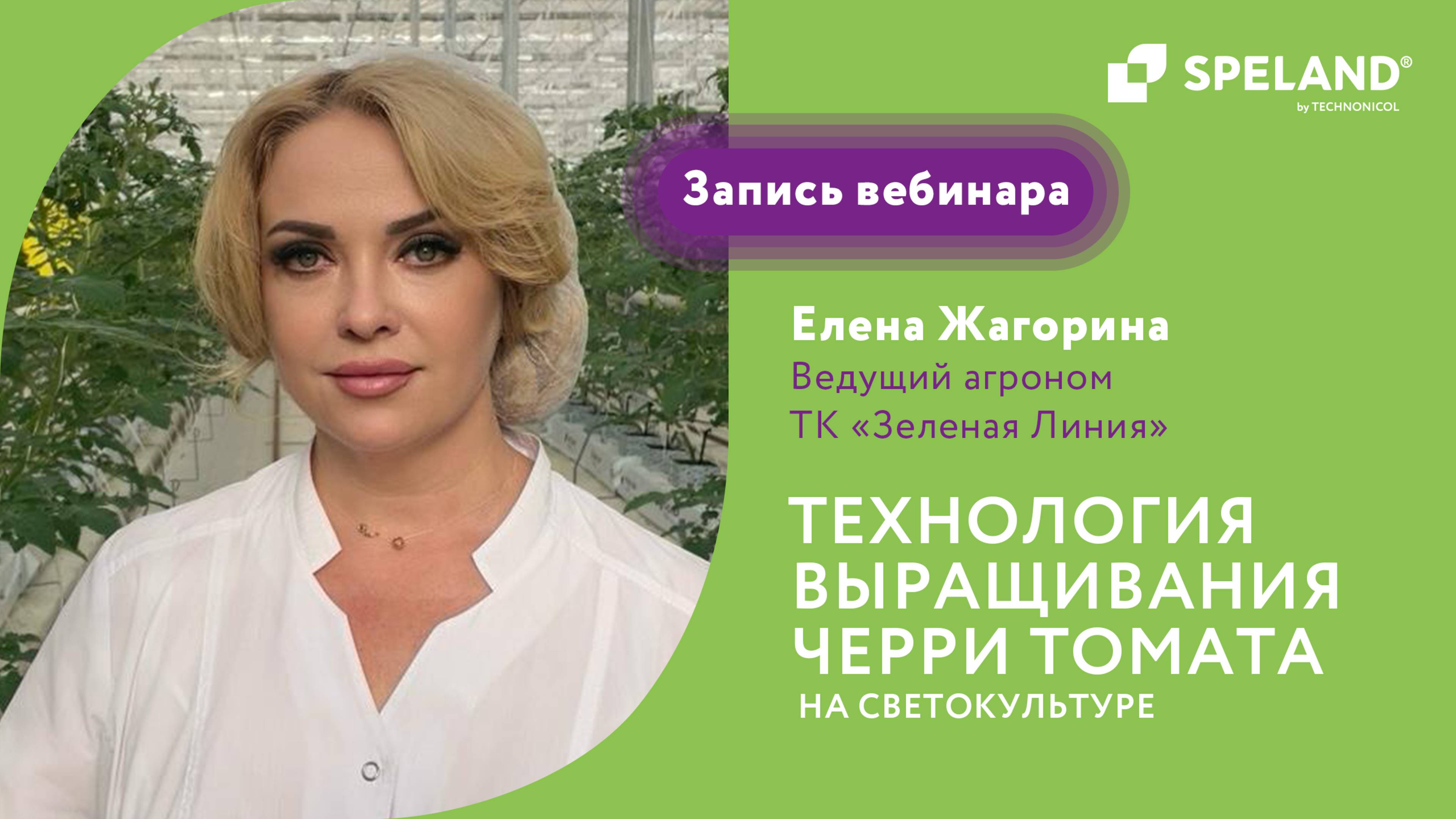 Вебинар: технология выращивания черри томата на светокультуре