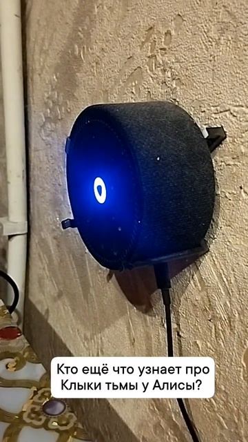 Спроси у Алисы |Фэндом Клыки тьмы|  #ОбратитеВниманиеНаКлыкиТьмы