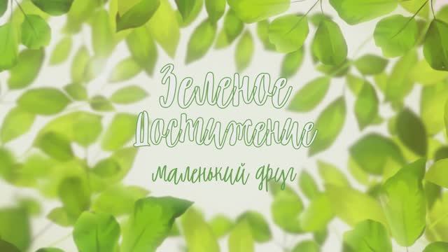 В лесу родилась ёлочка