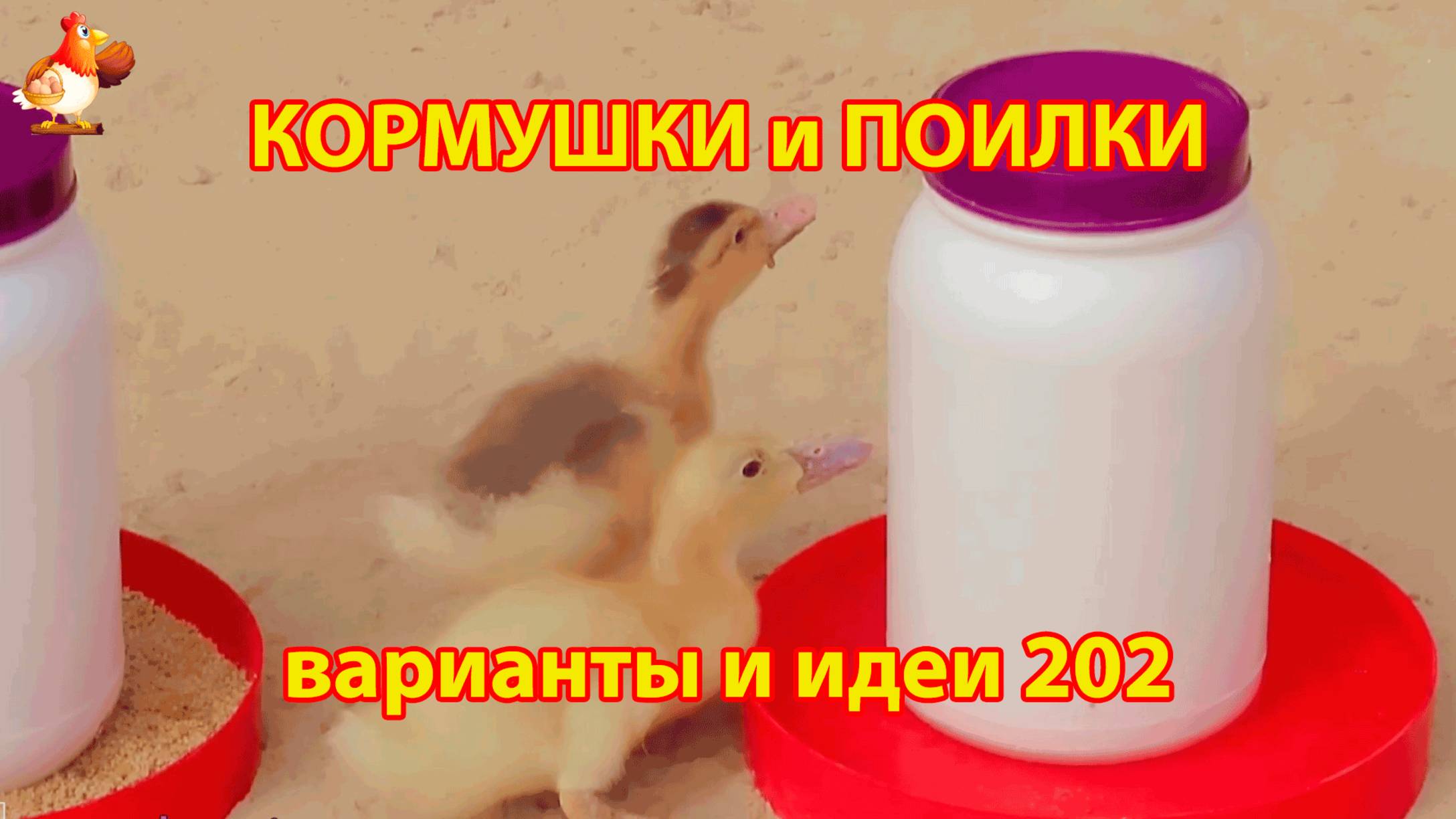 Кормушки и поилки для кур своими руками (202) 🪚✂️ Пошаговая инструкция как сделать 🐔 🐓❣️