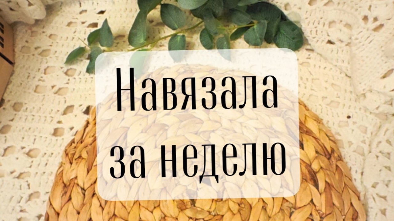 вязовлог 42/2025