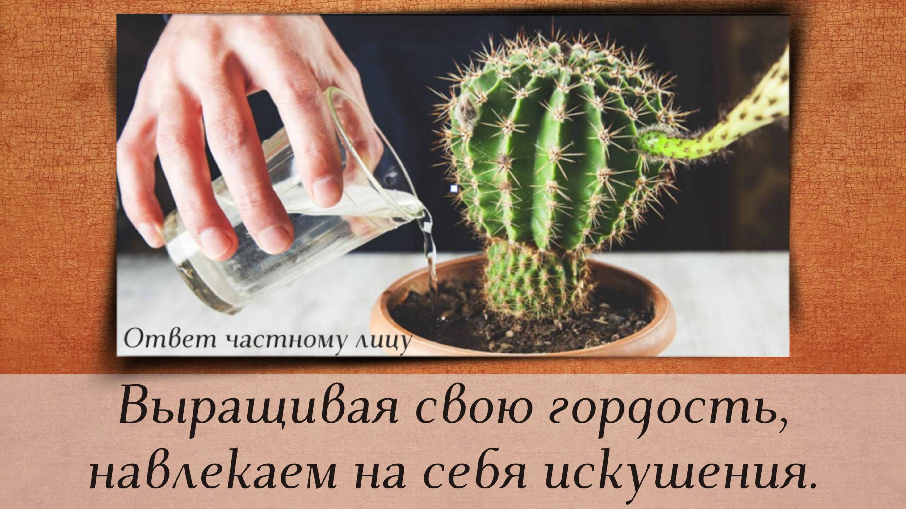 Выращивая свою гордость, навлекаем на себя искушения