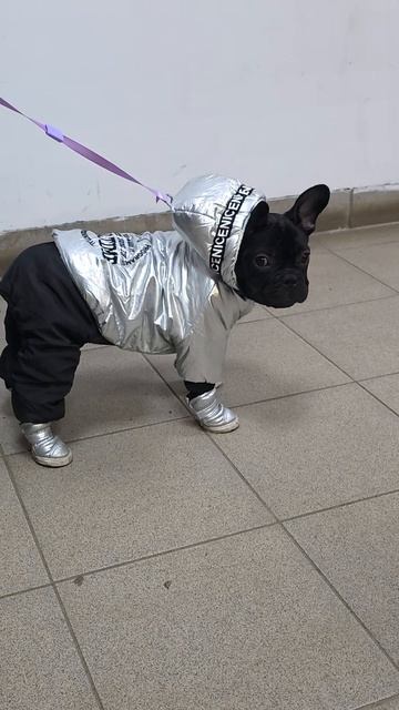 Мамкин модник 😁