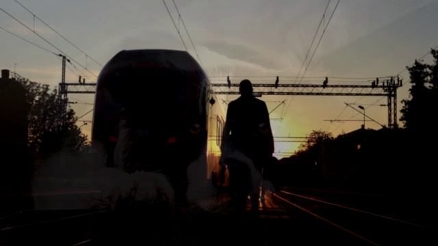 Бродячий пёс - Владимир Мещеряков(Ю.Кудинов)