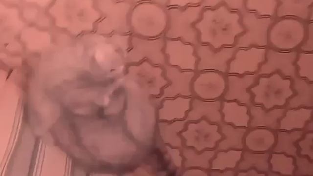 э нубик видео