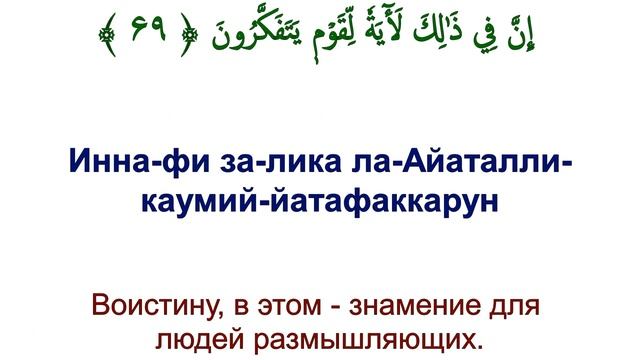 16.Сура "Ан-Нахль"( Пчёлы )