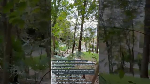 ПОШЛИ ГУЛЯТЬ ПО ХОСТЕ! Пляжи🏖️Море🌊