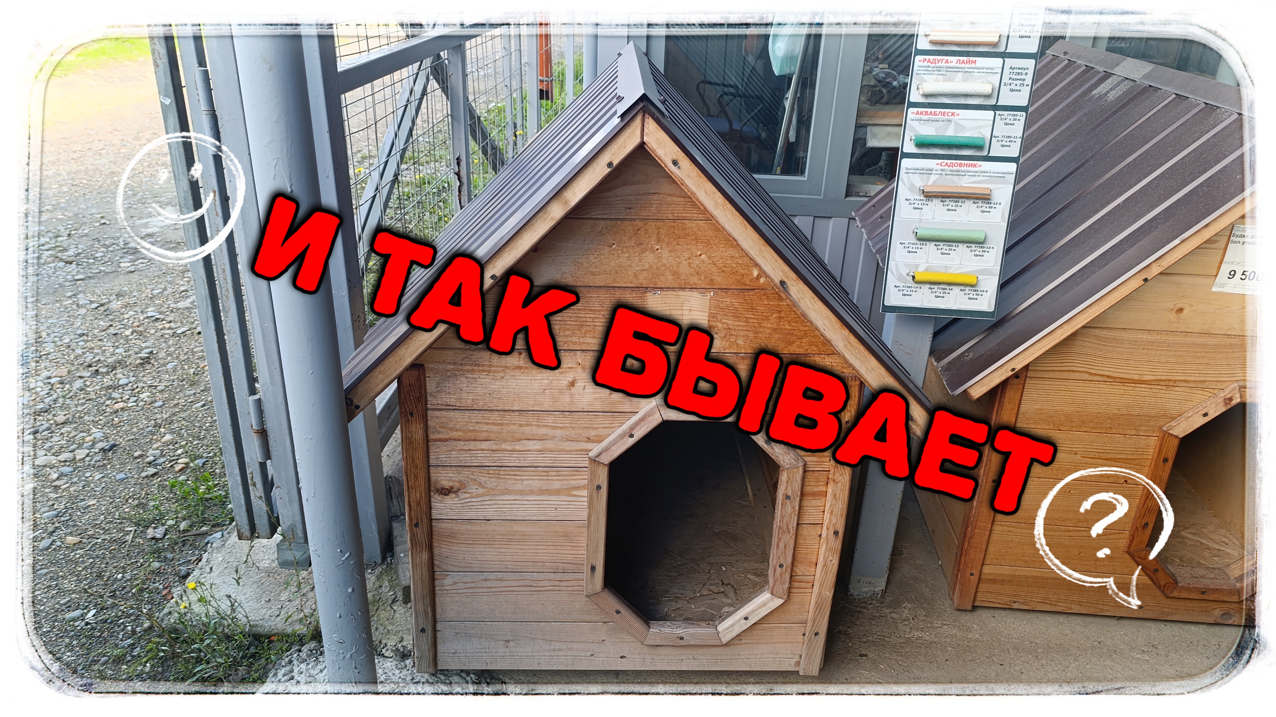 Будка простояла целый год на одном месте, и вот что произошло.