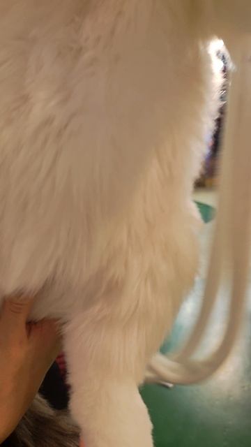 Котосумка #кунцевоплаза #детскиймагазин