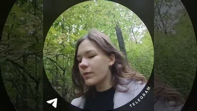 таинственный лес - визитка