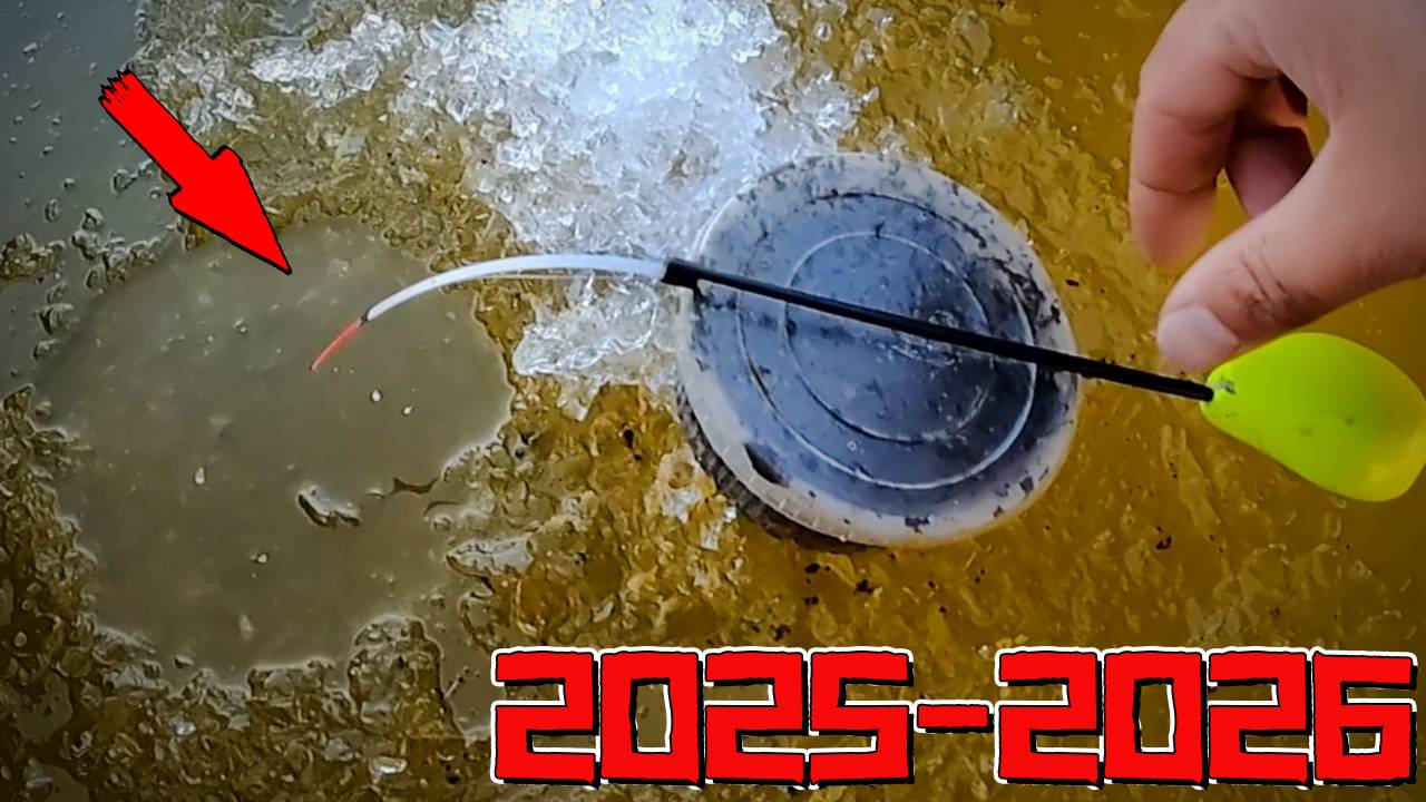 ПЕРВЫЙ ЛЁД 2025-2026 УДИВИЛ! Поехали На ХИЩНИКА Но Вышли ОНИ! Зимняя рыбалка ОТКРЫТА!