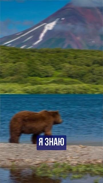 Из каких городов переезжают в Анапу ➤почему влюбился в Сукко ➤Анапа на пмж 🔵Просочились #переезд