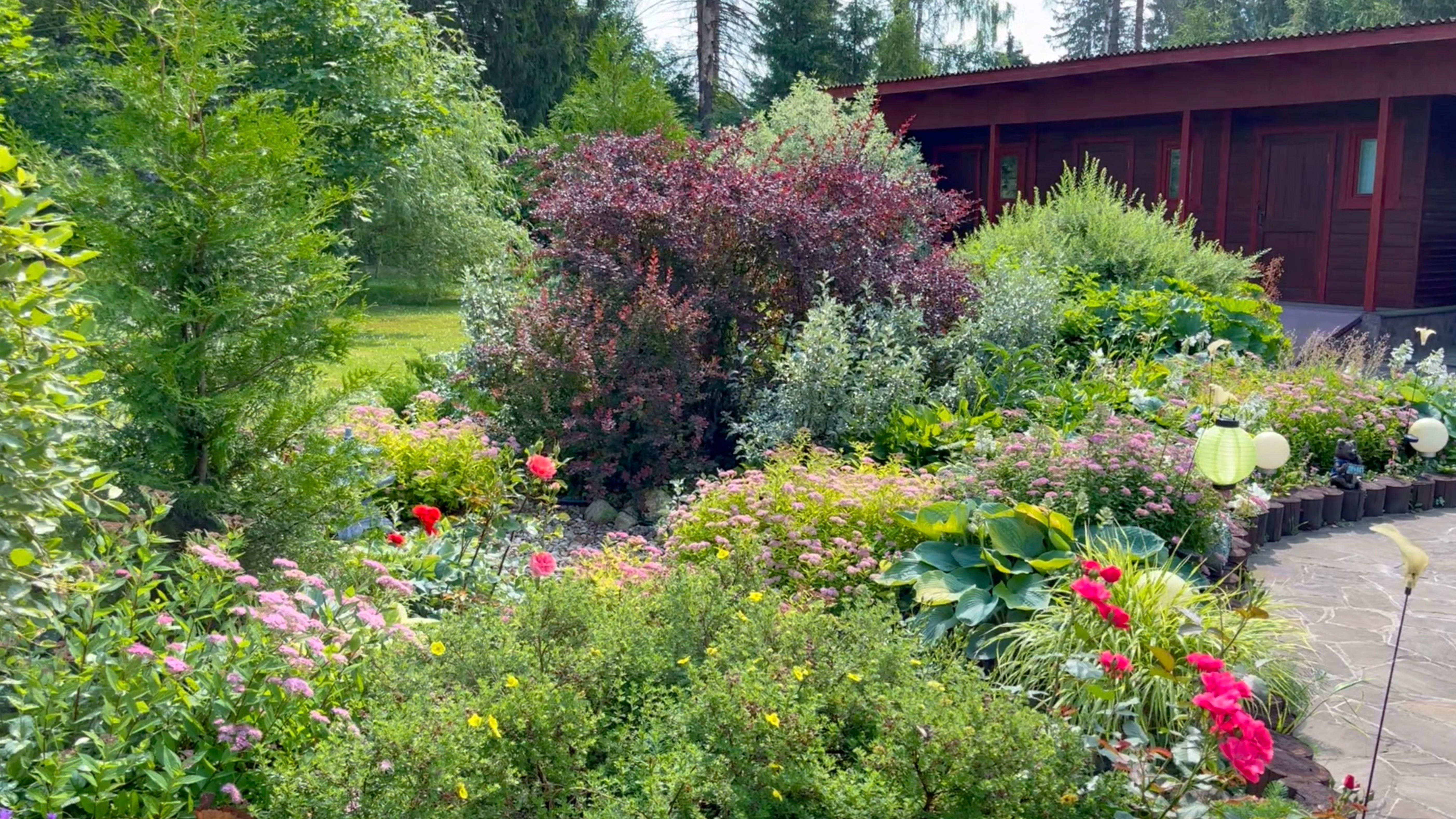 Садовые разочарования. Возможные причины отказа от садовых растений.