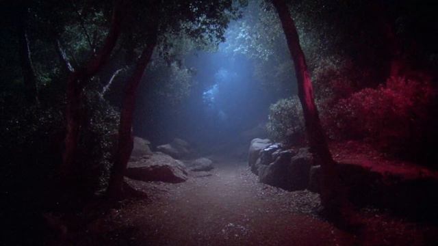 Echoes of laughter now gone..