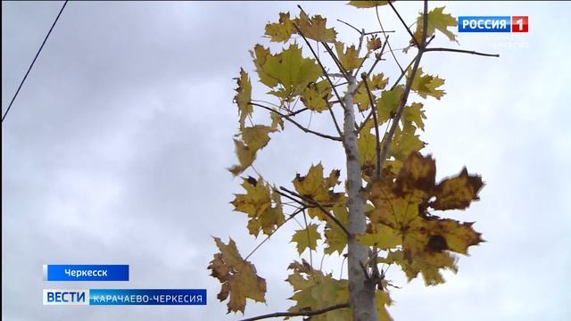 Вести Карачаево-Черкесия 24.10.2025