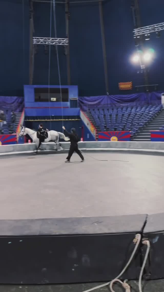 Репетиция в манеже. Цирк в Автово. Джигитовка. Джигиты Муратовы