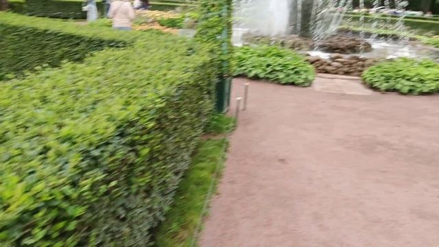 Немного лета в ненастный осенний день...