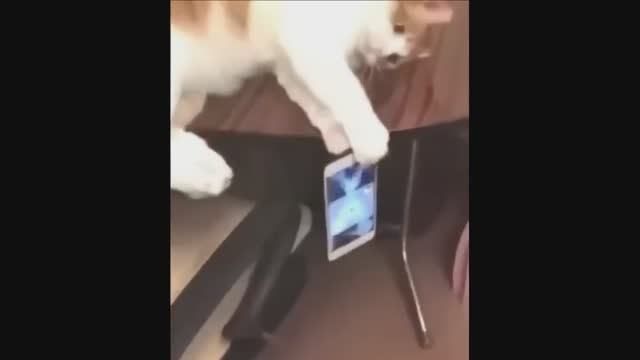 "Больше всего хранимого храни сердце твое, потому что из него источники жизни." / Притчи 4:23