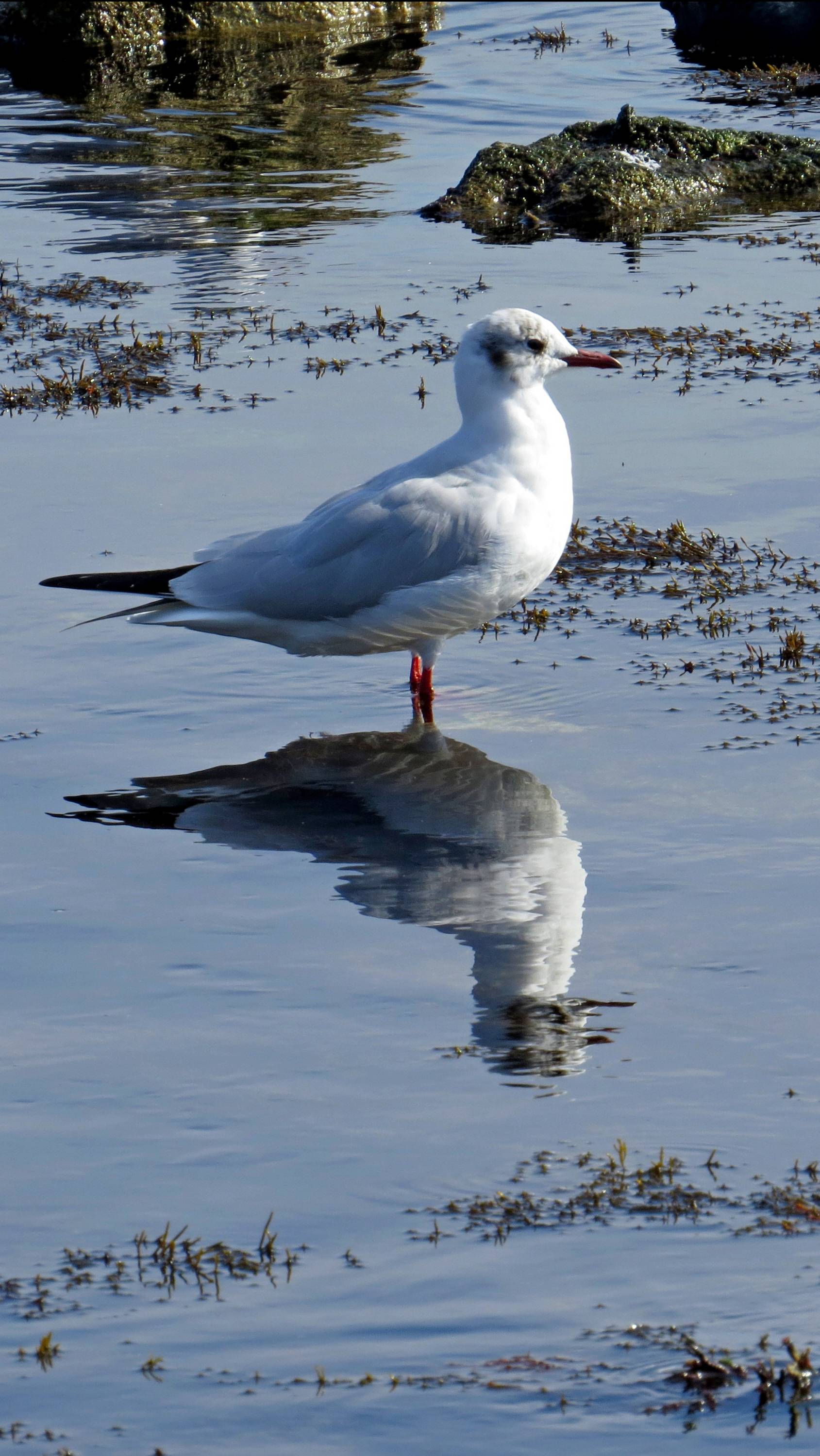 Утро на набережной.