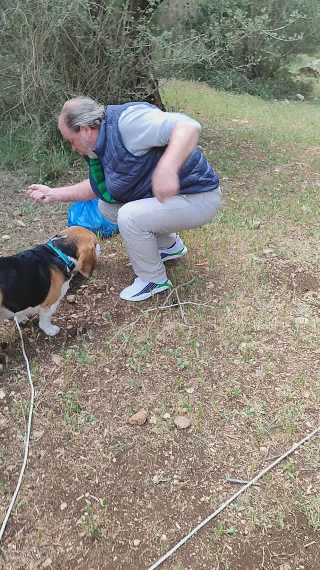 Я помощник просто знатный.