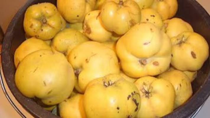 Айва. Маринкины творинки. Всем МИРА и Добра!