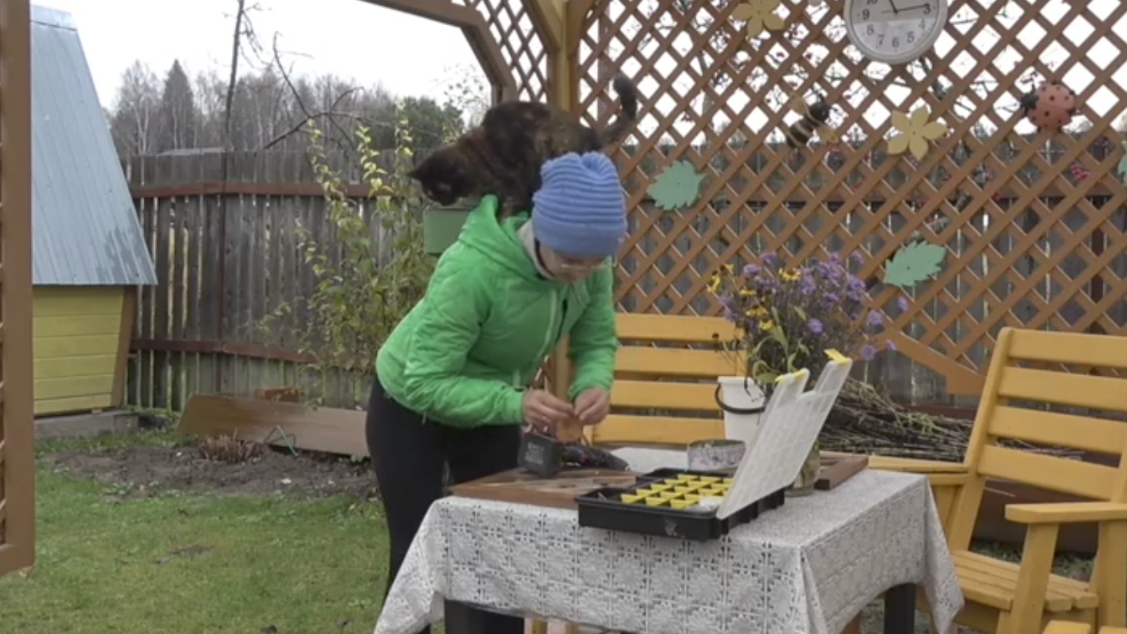 6 соток 23 октября 2025 года. 1 часть