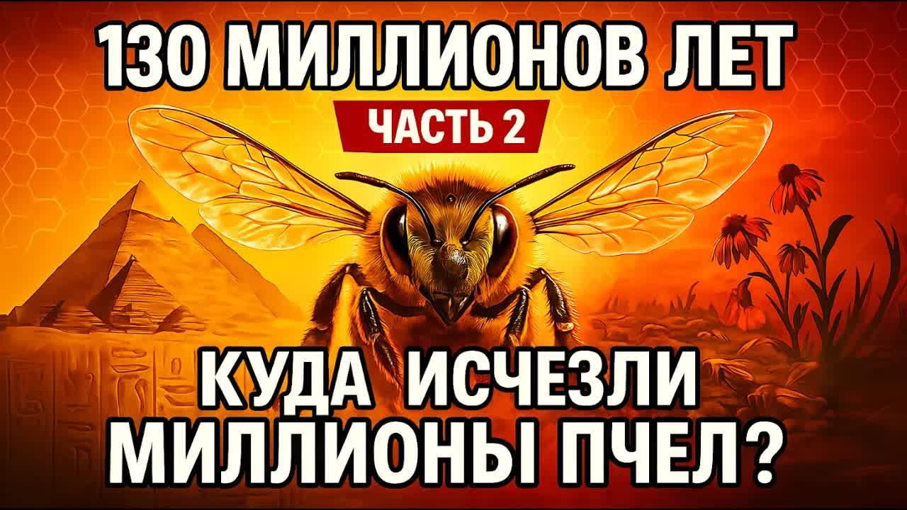 ИСТОРИЯ ПЧЕЛ — ЧАСТЬ 2 — Почему исчезают пчелы? Тихий апокалипсис.