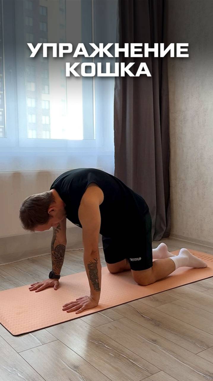 Кошка - Простое упражнение для гибкости спины