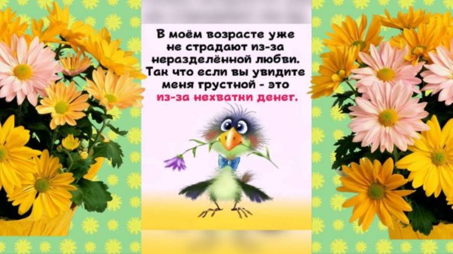 Смешные анекдоты в картинках. Музыкальная открытка с анекдотами для хорошего настроения!