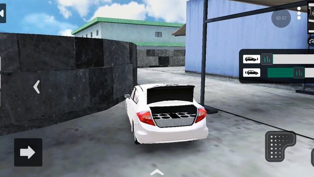 Вечеринка Долинов