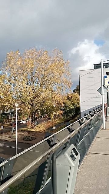 Пресвятой Богородице пред иконой Ея «Иверской»