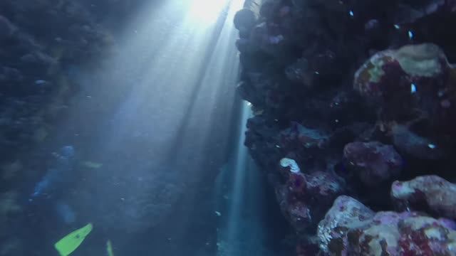 cave diving, дайвинг в Шарм эль шейх, дайвинг в Египте, 2024