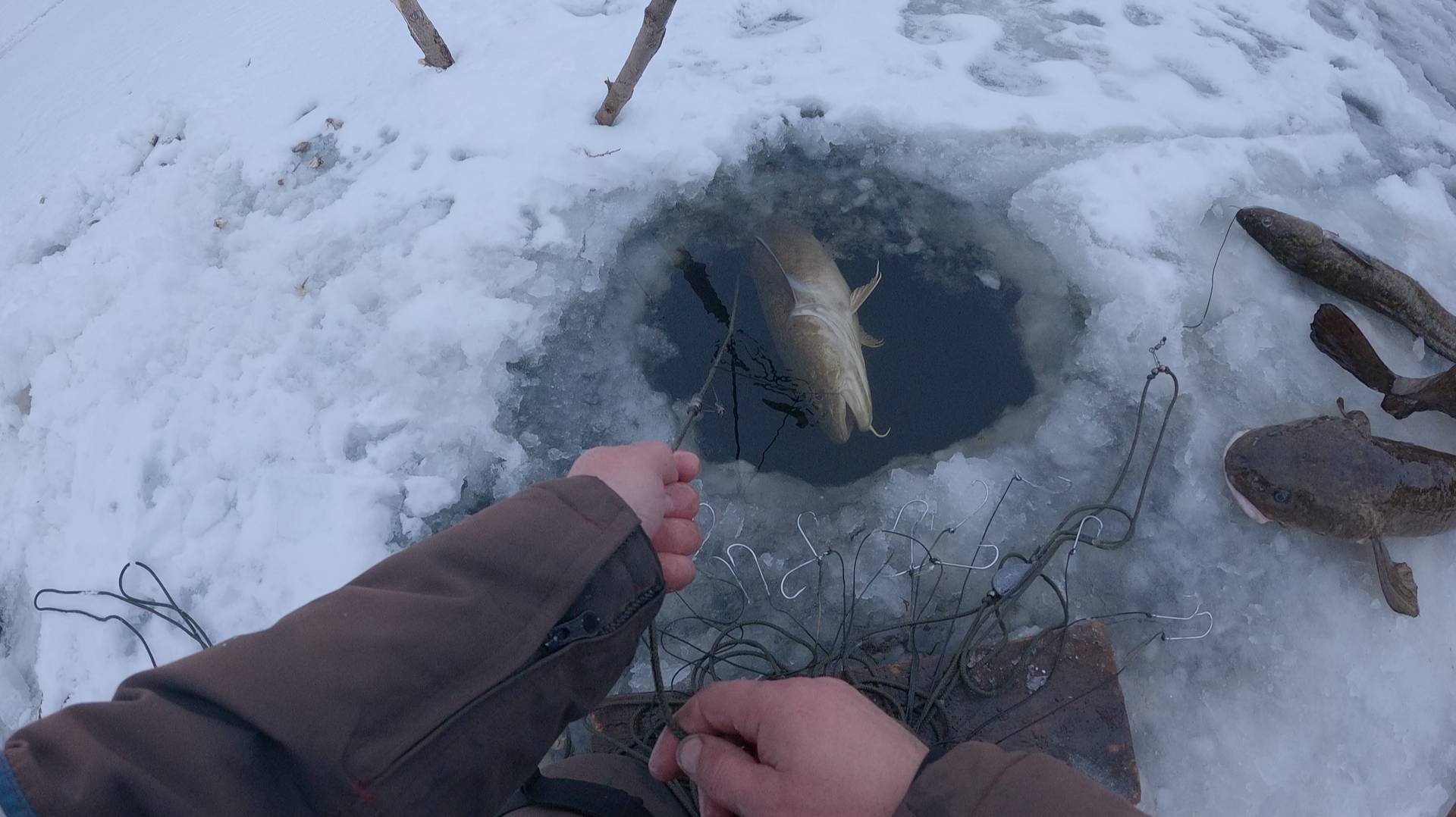 ПЕРЕМЕТ | ПРОВЕРКА 25.10.2025