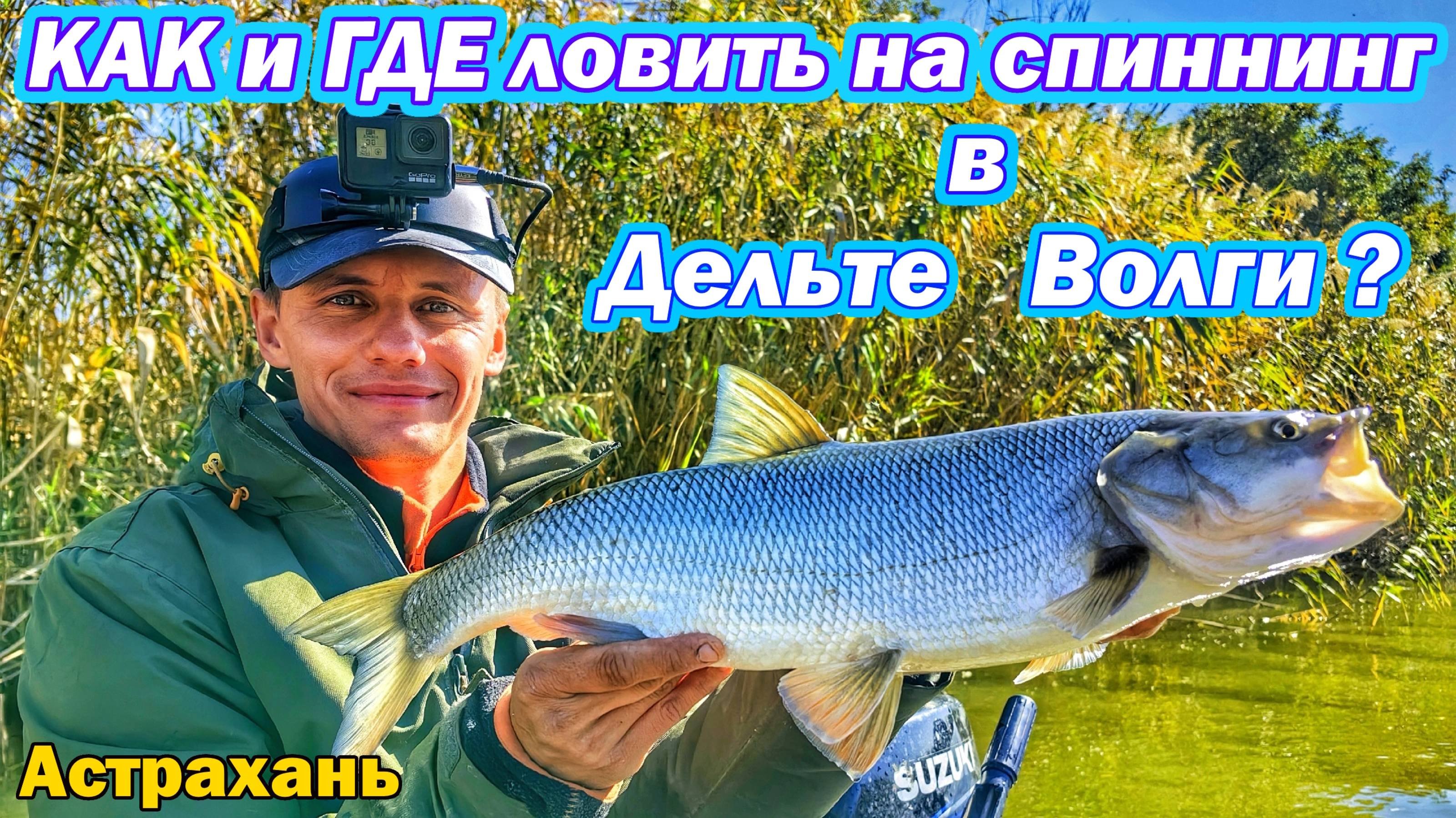ЛОВЛЯ ХИЩНИКА В ДЕЛЬТЕ ВОЛГИ/РЫБАЛКА НА СПИННИНГ/ЛОВЛЯ ЖЕРЕХА,ОКУНЯ И ЩУКИ/АСТРАХАНЬ/ОСЕНЬ 2025