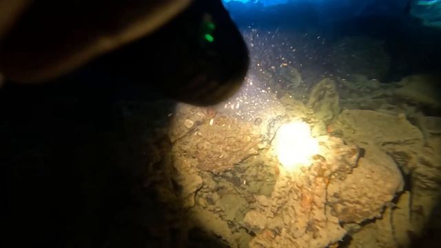 Тистлегорм, SS Thistlegorm, дайвинг в Египте, рэк дайвинг, внутри ноябрь 2024