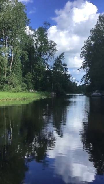 Ленинградская область. Хвойное. 10.07.2024. Вуокса перед малым порогом. Видеопейзаж