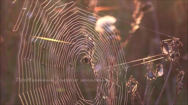 Светопись 28