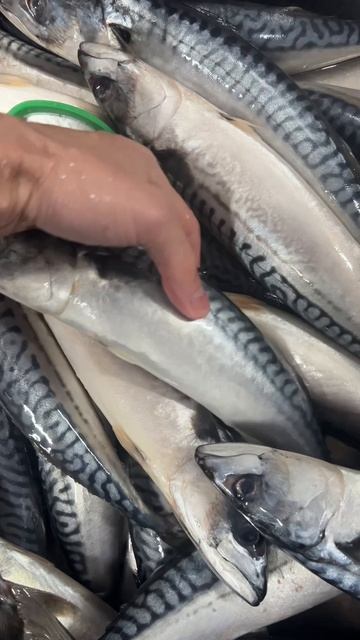 Вкусные рецепты! Крупная фарерская скумбрия.