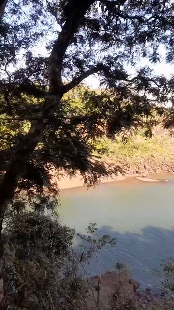 Красота под SAVOY BROWN