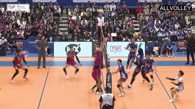 Волейбол. Торей Эрроус — Грейт Бирс