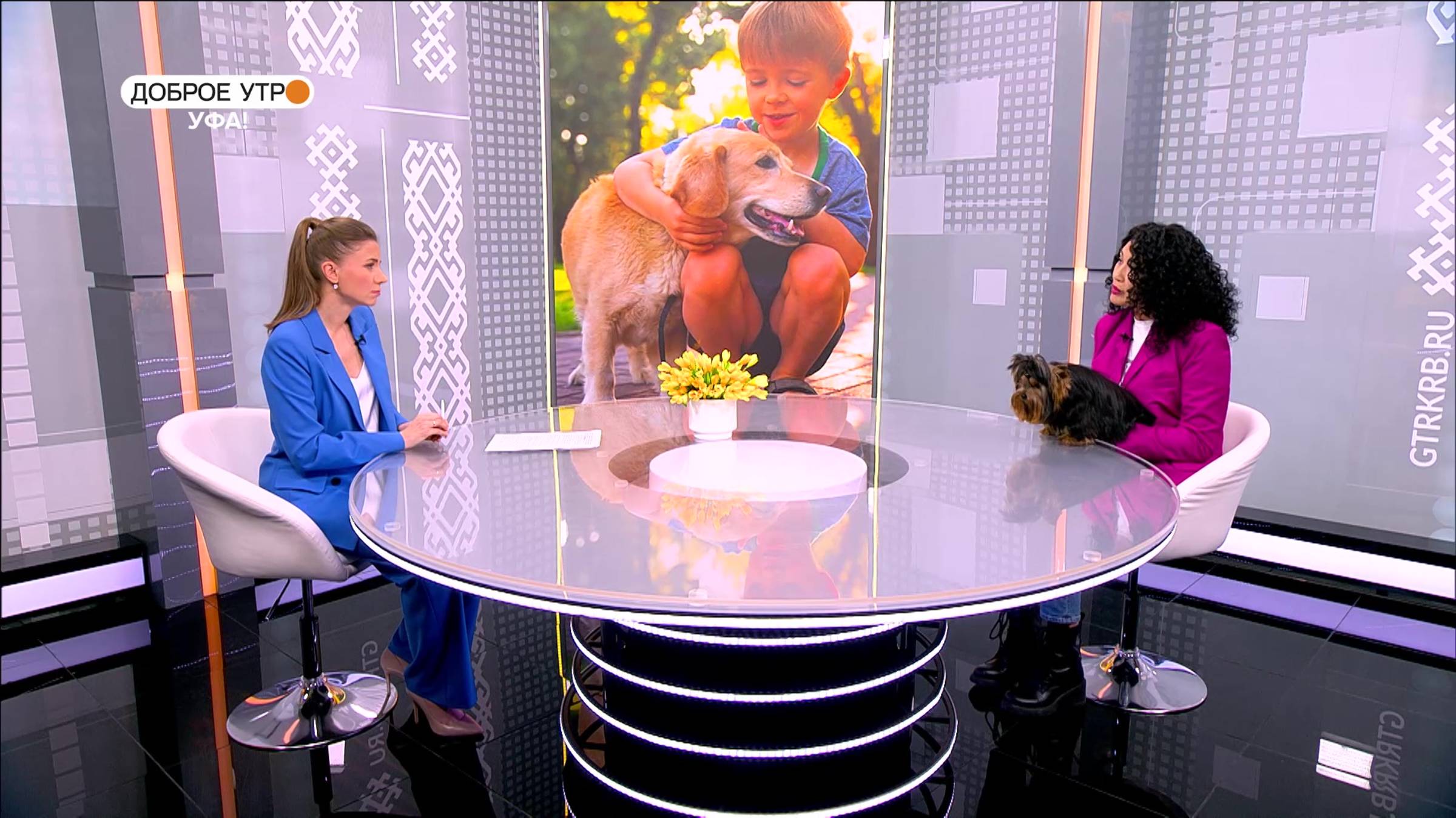 "Доброе утро, Уфа!" полный выпуск 27 октября 2025