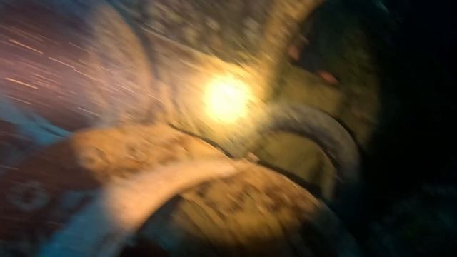 Тистлегорм, SS Thistlegorm, дайвинг в Египте, рэк дайвинг, внутри ноябрь 2024