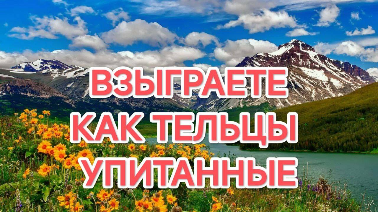 25.10.2025  РЕЛИГИЯ ФАНАТИЗМА,   БЕСКОРЫСТИЯ, ТУЧНАЯ ЖИЗНЬ_