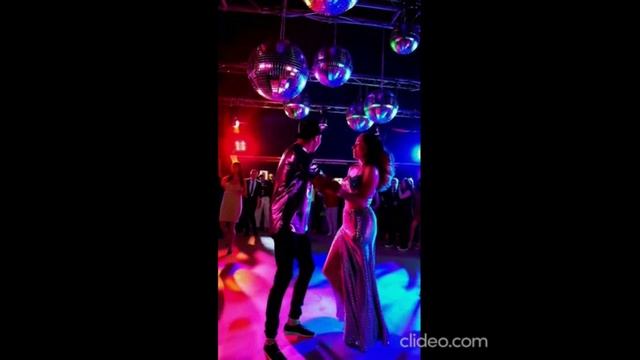 Кошачья дискотека.