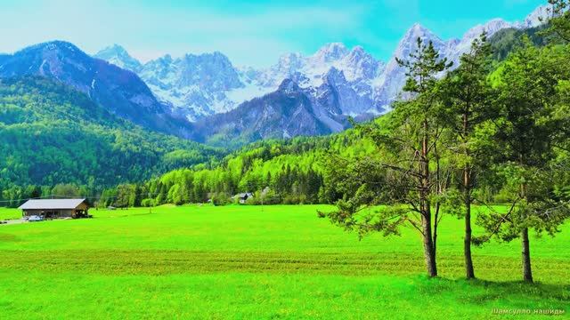 #Коран#АльМаида#СамыеКрасивыеМеста#Relaxation##Islam#Quran#AlMaida#Minshawiy #4кВидео#7часть#