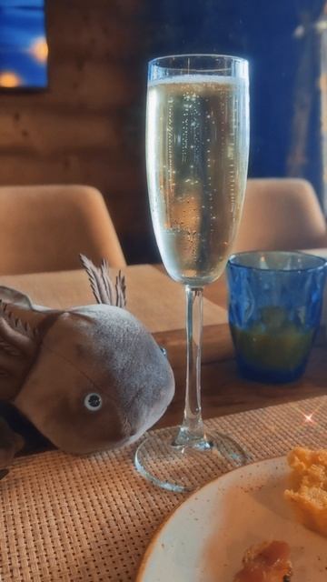 Наш домашний дракон Аксель