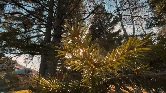 Проект по формированию семейных ценностей "Преображение"