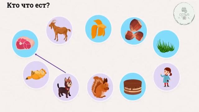 уроки Русского языка РАЗВИВАЙКА